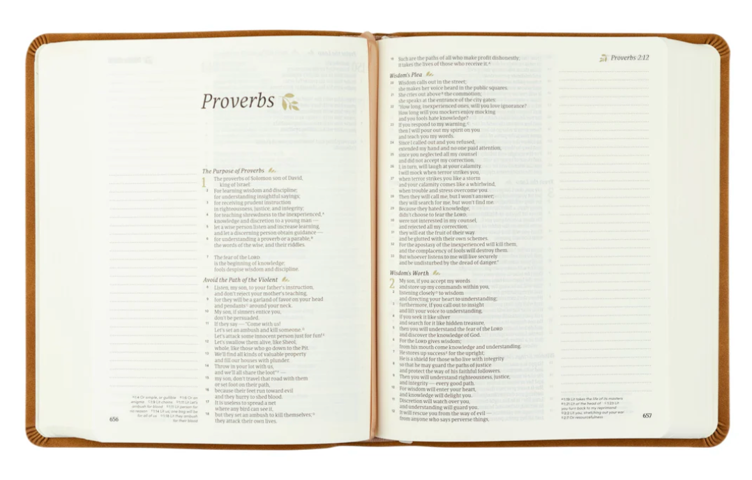 CSB NOTETAKING BIBLE : AMELIA THEME – Elevate Merch